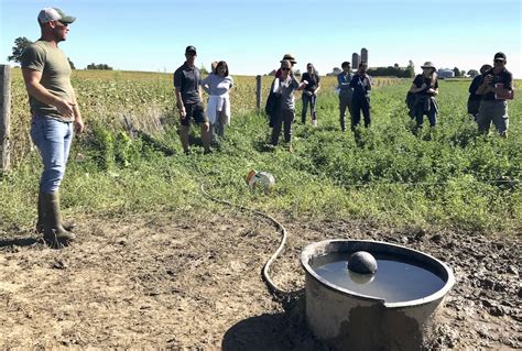 Test Plot Measures Effects Of Grazing In Crop Rotation Farmtario