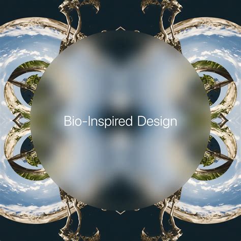 Bio Inspired Design → Term