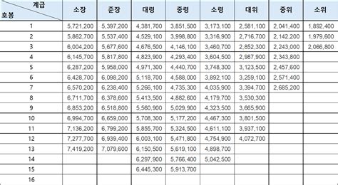 군인 봉급표 2024년 직업군인 급여 월급 연봉 공무원 장군 소위 대장