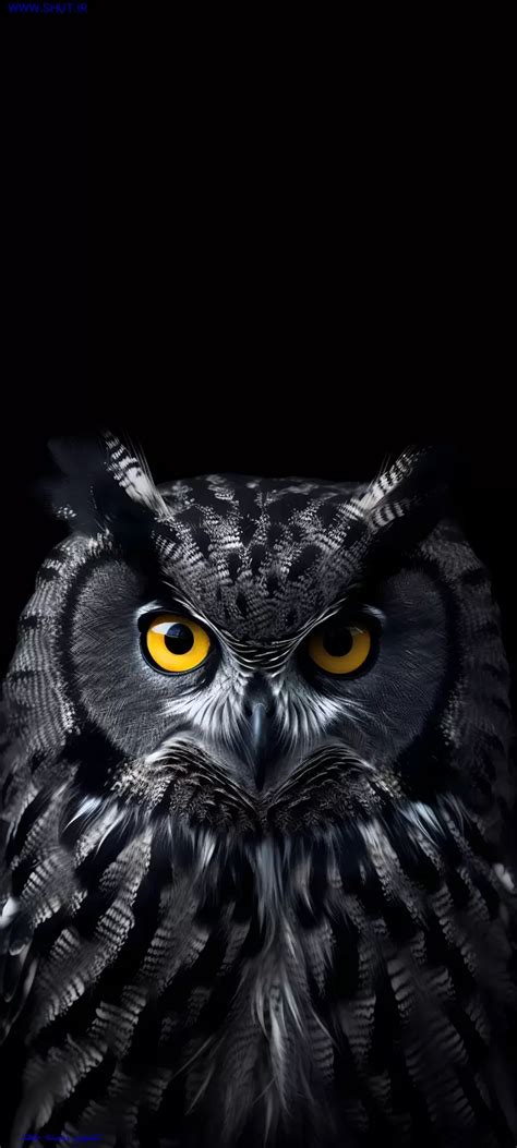 ۴k تصویر زمینه خفن