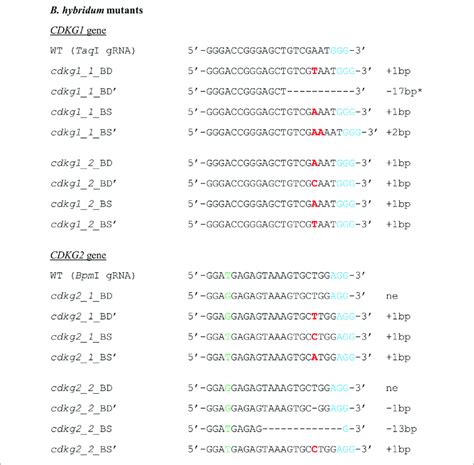 Nature Of Mutations Obtained Using Crispr Cas9 Targeted Mutagenesis Download Scientific