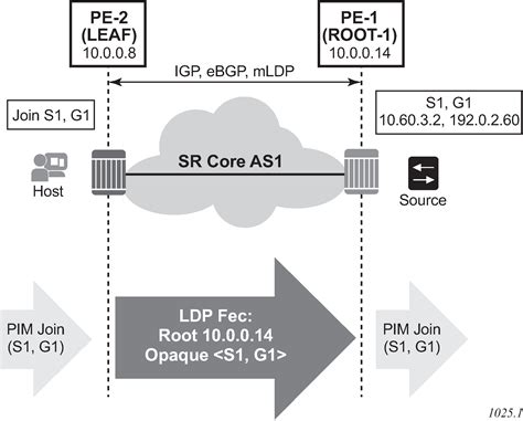 Label Distribution Protocol