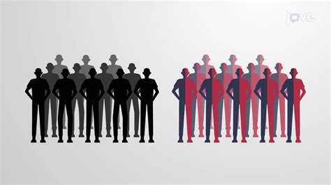 Video Test For Homogeneity