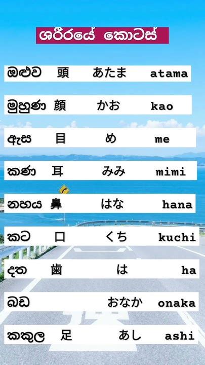 ජපන් භාෂාවෙන් ශරීරයේ කොටස් හදුනා ගනිමු 👄👁️🦷👃👂🦶 Youtube