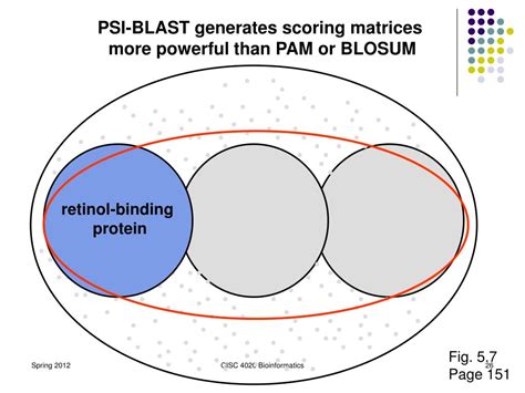 ppt position specific iterated blast psi blast powerpoint presentation id 3401686