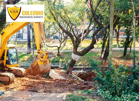 Homeowner S Insurance Cover Preventative Tree Removal
