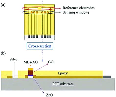 The Schematic Diagrams Of The Potentiometric Arrayed Aa Biosensor Based