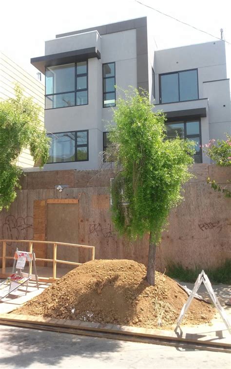 Tree Protection Public Works