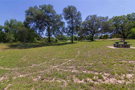 Causes Of Patchy Grass Solutions For A Receding Lawn