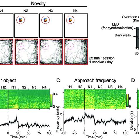 Diversity Of Novelty Behavior Is Captured In Open Arena A Trajectory