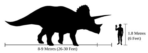 9 Curiosidades Sobre O Triceratops Que Você Não Sabia