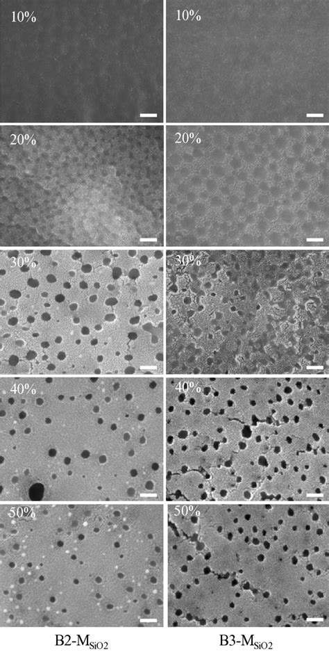 S Surface Morphology Of B2 M Sio2 And B3 M Sio2 Films With Total Solid