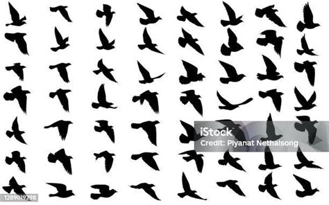 고립 된 배경에 비행 조류 실루엣 벡터 그림입니다 고립 된 새 비행 문신과 벽지 배경 디자인 새와 하늘과 구름 색상 음영 팔레트 새에 대한 스톡 벡터 아트 및 기타 이미지
