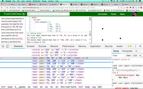 Add Labels To Scatter Plot Circles Works Fine Shows Error Javascript The Freecodecamp Forum