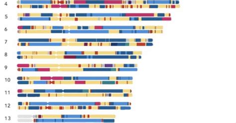A New True View Of Race And Ethnicity Psychology Today United Kingdom