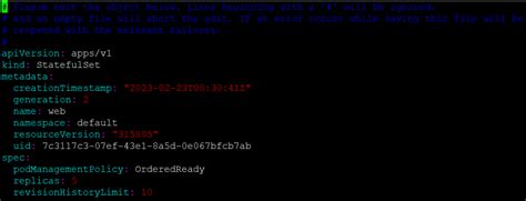Kubernetes Debugging Basics Debugging Clusters Pods And Services