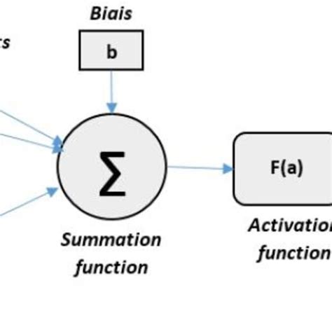 Numerical Structure Of The Formal Neuron Download Scientific Diagram