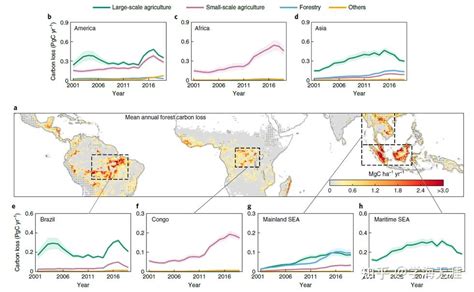Nature Sustainability 南科大利用多源遥感数据揭示了热带森林碳储量损失自21世纪以来呈现加倍的增加趋势 知乎