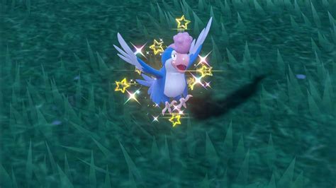 Shiny Squawkabilly In Pokemon Scarlet And Violet Youtube