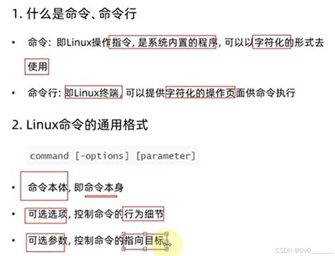 Linux——ls命令 Csdn博客