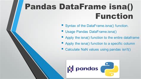 Pandas Dataframe Isna Function Spark By Examples