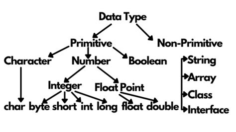 Difference Between Primitive And Non Primitive Data Structures