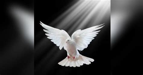 Tribute Wall Isabel Haskell