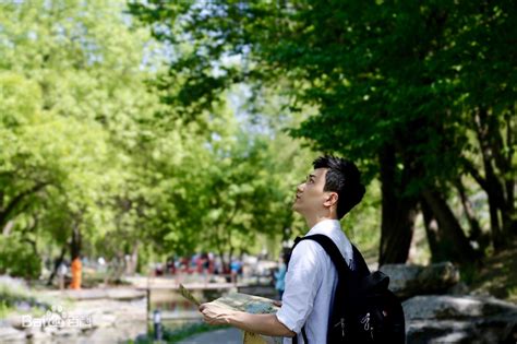 杉泽图册 360百科