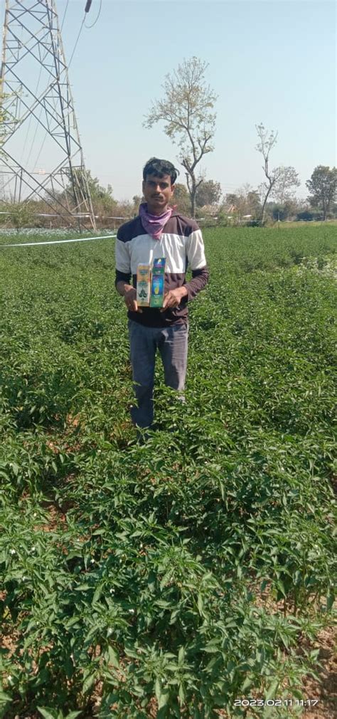 Field Activities Perfect Cropscience Pvt Ltd