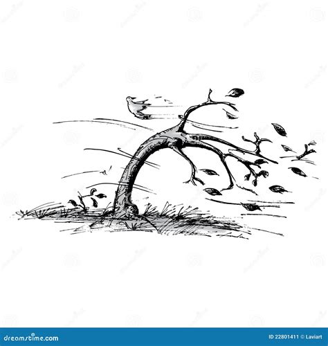 Tree In The Wind Stock Illustration Illustration Of Background