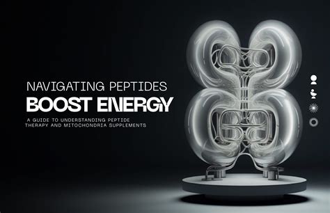 5 Best Mitochondria Supplements And Strategies Livv Natural