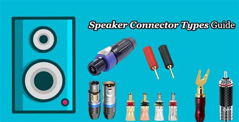 Speaker Connector Types A Complete Guide Rasantekaudio