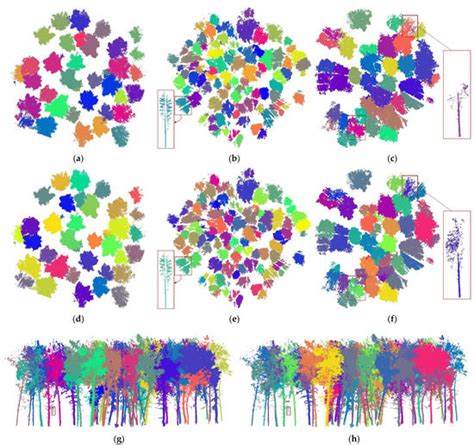 Remote Sensing Free Full Text 3d Graph Based Individual Tree Isolation Treeiso From