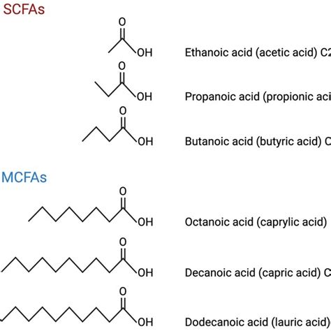 Examples Of Common Scfas And Mcfas Chemical Structures And Download Scientific Diagram