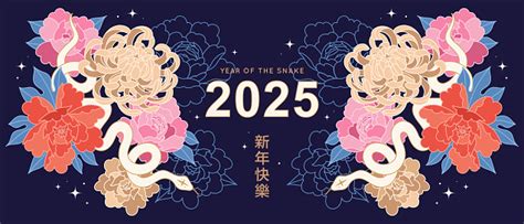 뱀의 달의 상징과 함께 화려한 중국 설날 배경 모란 국화 뱀 및 선형 꽃과 함께 전통적인 포스터 중국어 현대 벡터 디자인 2025년에 대한 스톡 벡터 아트 및 기타 이미지