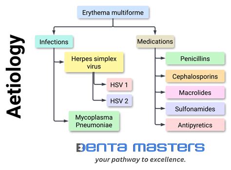Erythema Multiforme Types Causes And Symptoms Part 1