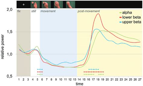 Time Course Of Eeg Rhythms The Graph Shows The Eeg Power Time Course Download Scientific