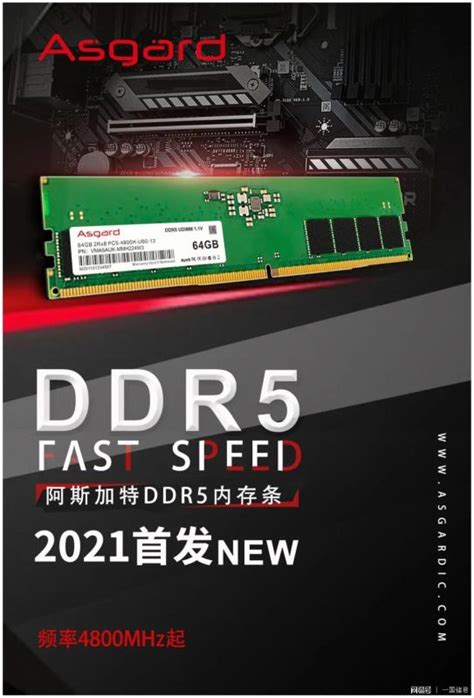 Asgard Launches First Ddr5 4800mhz Memory Module Will Ship Out In 64gb Capacities Lowyat Net
