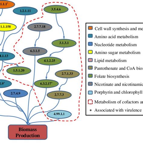 The Binding Model Of Alkaline Phosphatase A The Amino Acid Residues Download Scientific