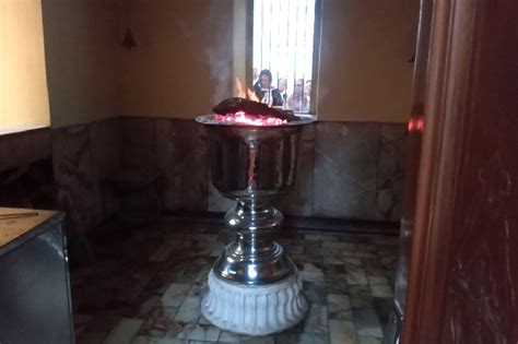 برساد تارنمای خبری تحلیلی زرتشتیان تصاویری از خوانش همگانی اوستای