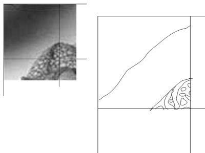 25 Best Grid Drawing Images On Pinterest Art Education Lessons Art Lessons And Drawing Grid