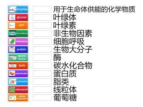 Myp Biology Match Up