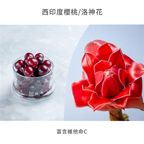 享幸福【幸福莓果子】60粒入 調整菌叢生態 滿滿a型前花青素，營養升級更加倍。 蝦皮購物