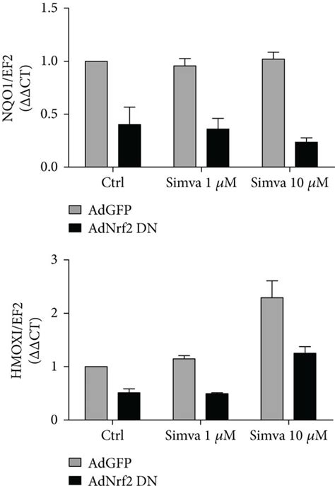 Simvastatin Does Not Influence Hmox1 Via Nrf2 Are System In Haosmc A Download Scientific