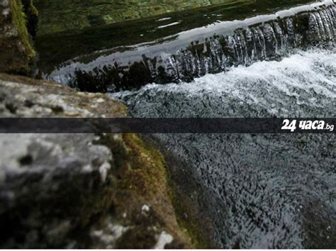 Петима удавени само за един ден