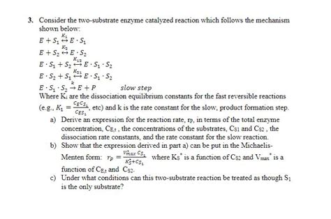 3 Consider The Two Substrate Enzyme Catalyzed