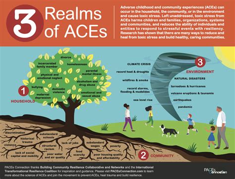 Paces Science 101 Aces Too High Llc Worksheets Library