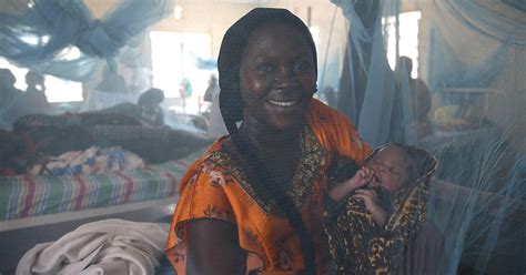 Anti Malaria Mosquito Nets