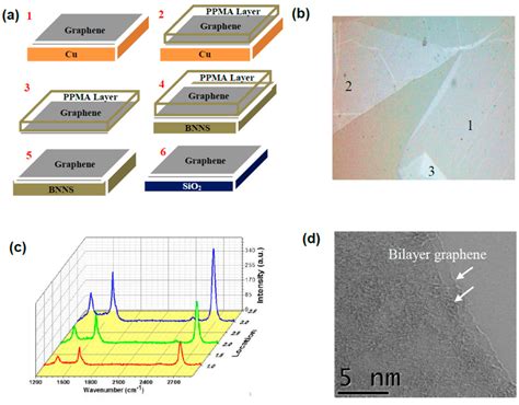 A Schematic Diagram Illustrating Graphene Transfer Procedure From Download Scientific Diagram