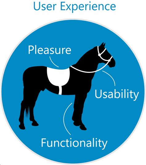 Developing A Holistic Understanding Of Users Experience And Ux Design Argos Infotech